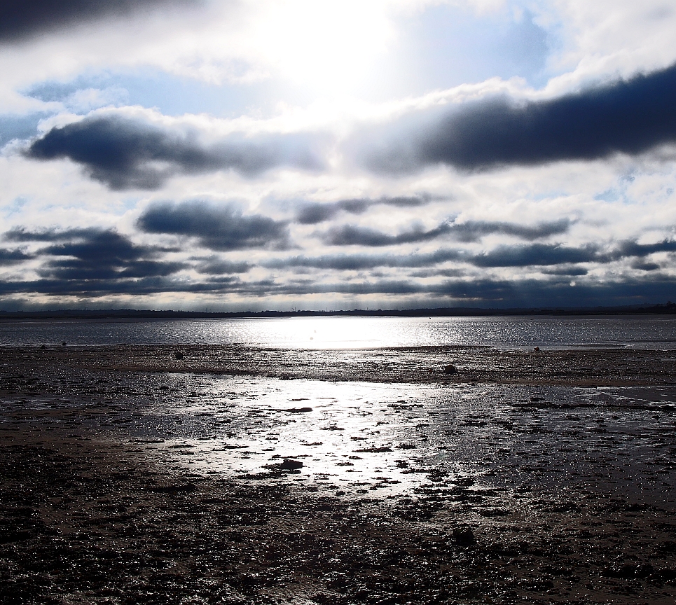 Modernism on a marshy coast | SPREZZATURA