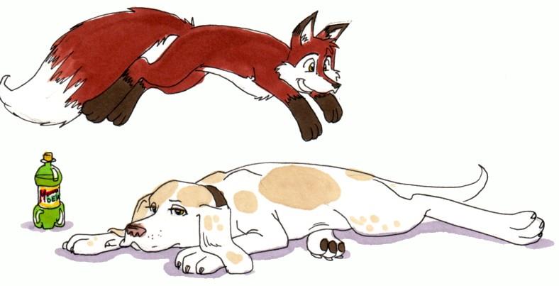 The quick brown fox jumped over the lazy dog. | SPREZZATURA